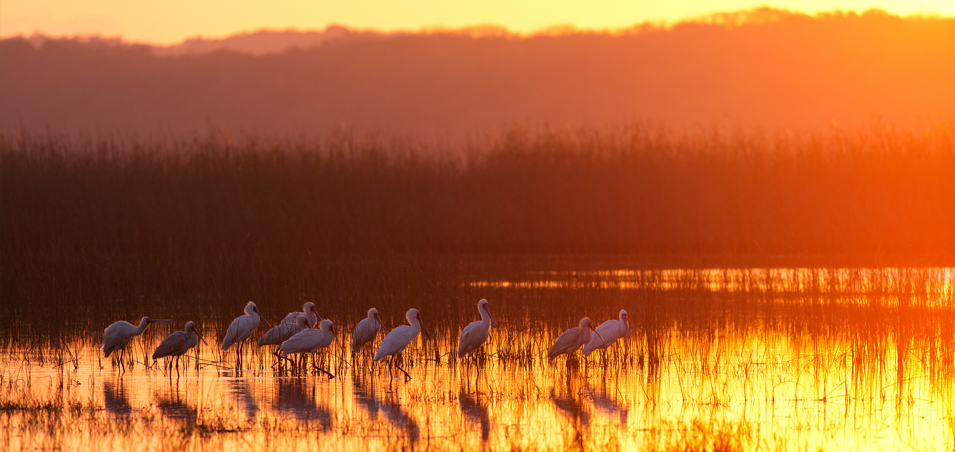 Home - Photography by Bart van Engeldorp Gastelaars
